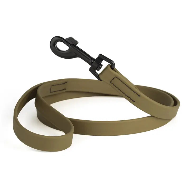 Biothane Waterproof Leash – Beau Duk Co.
